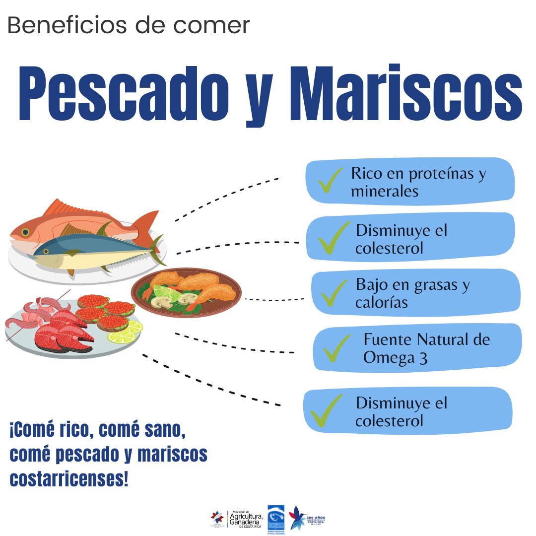 Beneficios De Los Pescados y Mariscos En Una Dieta Balanceada 2026 | LA ...