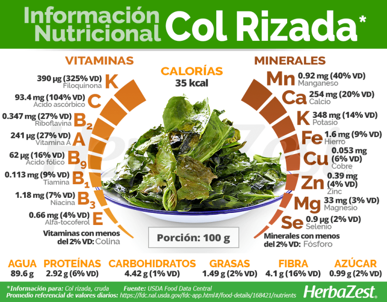 Beneficios Nutricionales De La Col Rizada 2026 | LA CHECHI COCINA