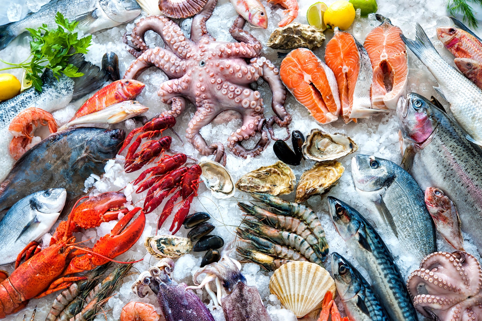 Tipos De Mariscos y Cómo Elegir Los Mejores En El Mercado 2026 | LA ...